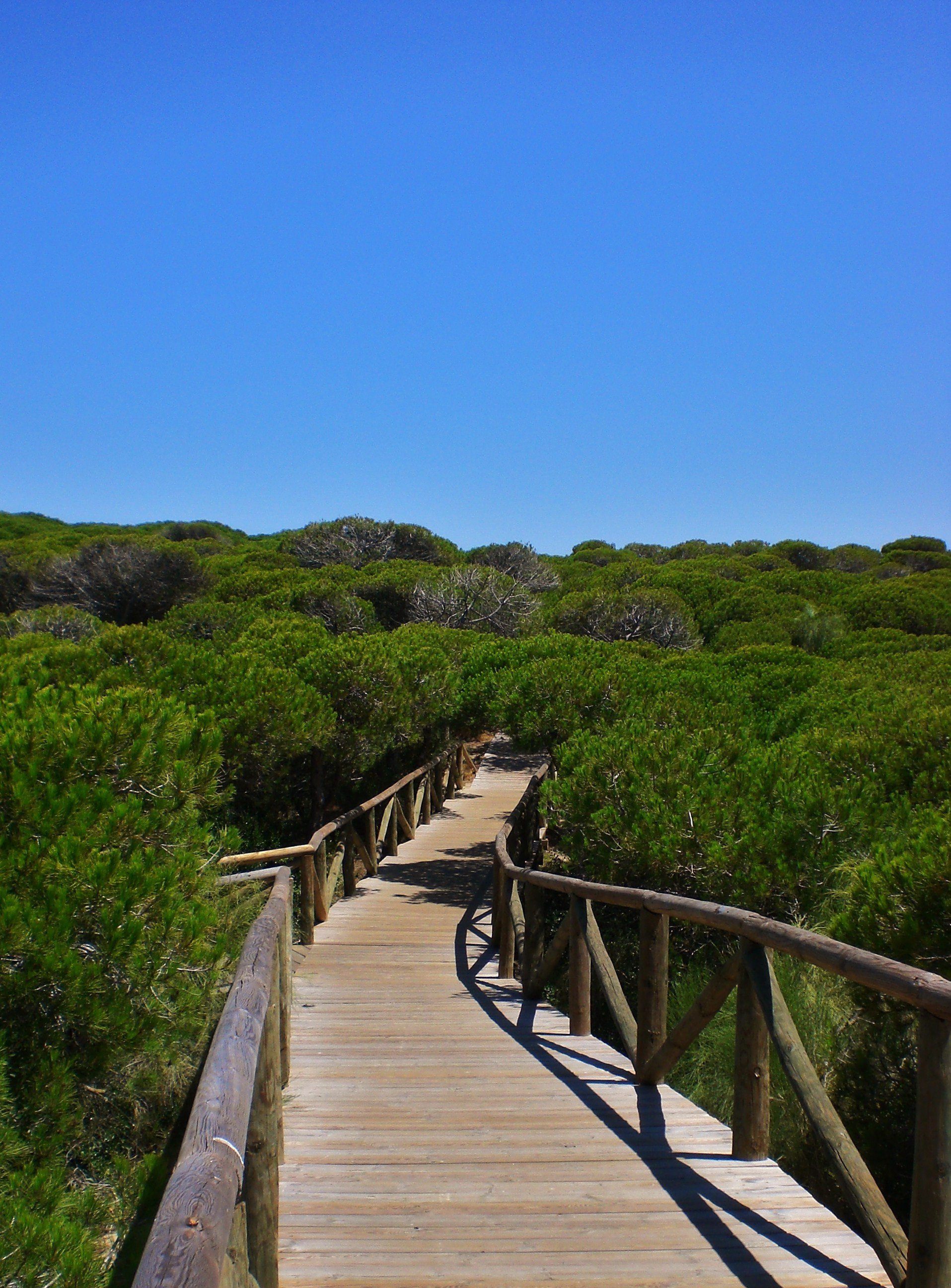 Playas de Rota, Cádiz