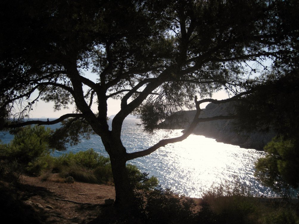 Playas de Alcanar, Tarragona