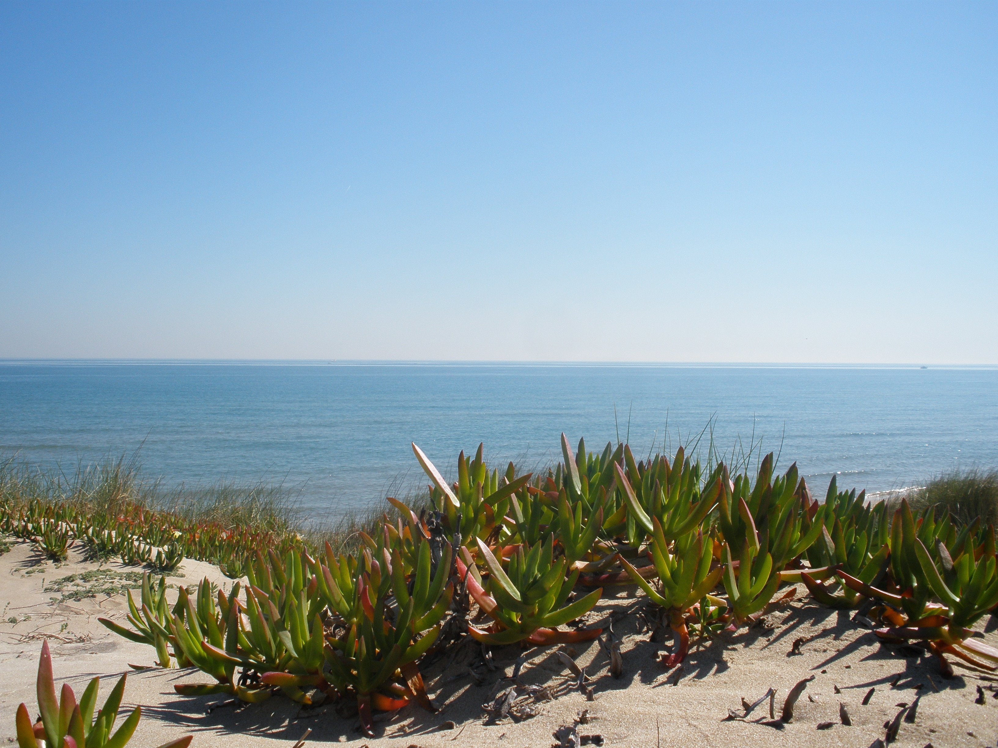 Playas de Sueca, Valencia
